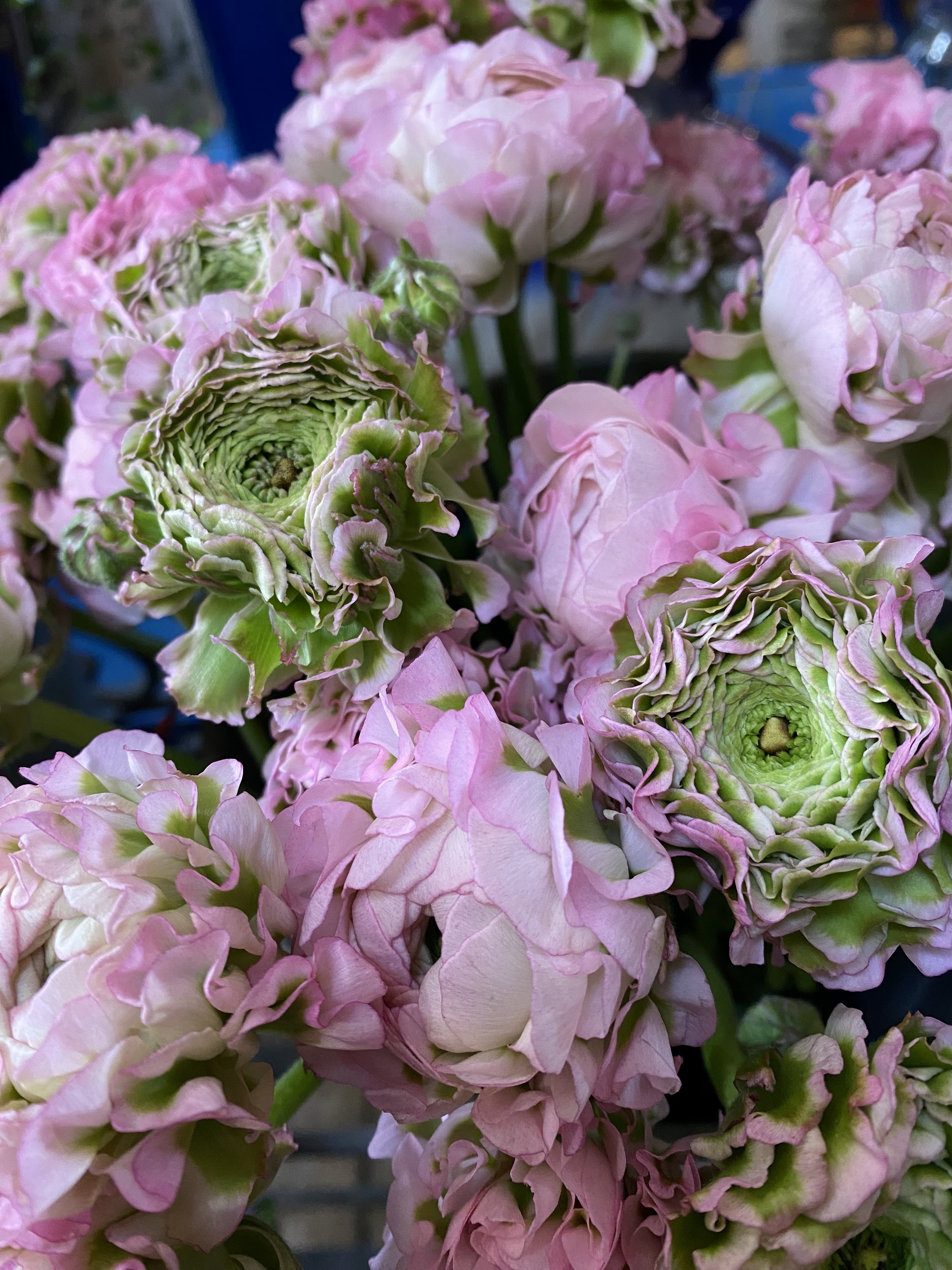 Wendy Lewis Flowers - Florist in Hungerford & Marlborough
