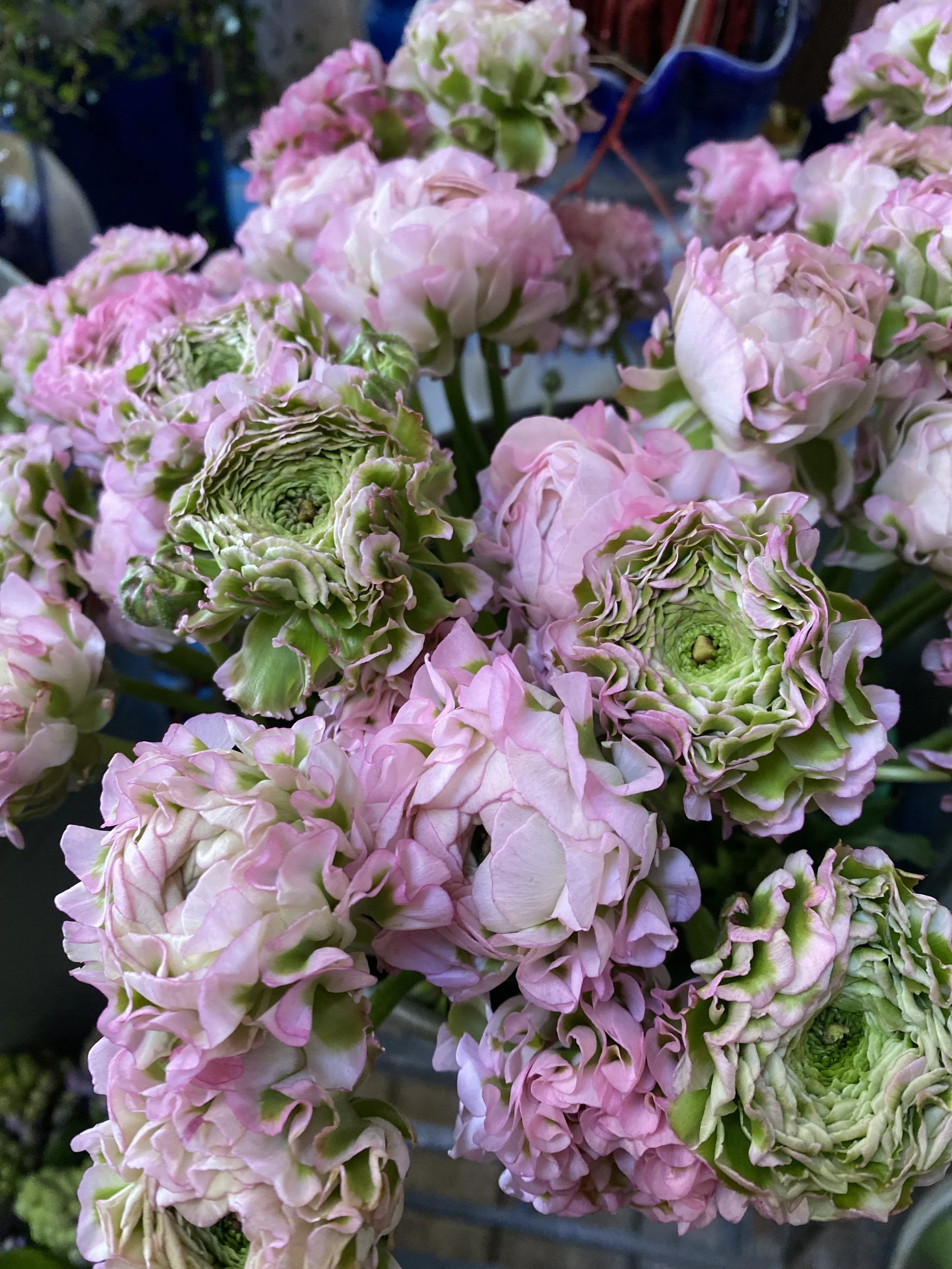 Wendy Lewis Flowers - Florist in Hungerford & Marlborough