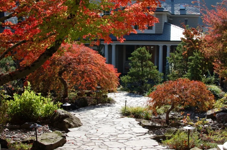 How To Renovate An Old Landscape