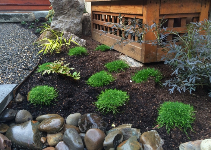 Bark Dust: The Definitive Guide for Portland Landscapes