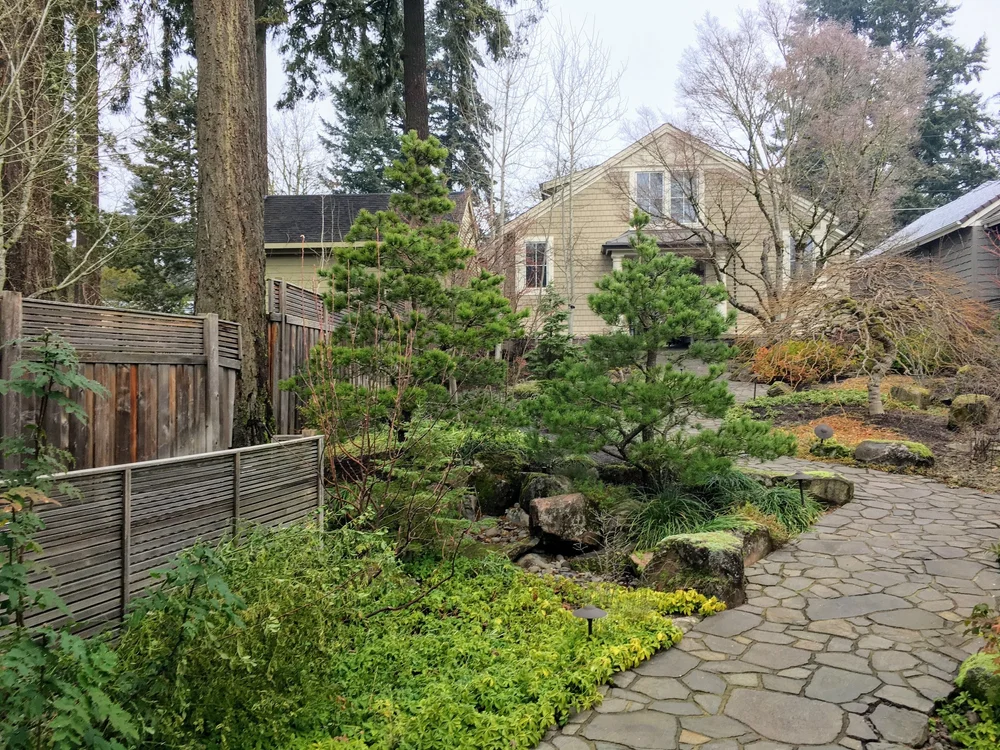 Pictures That Prove Your Winter Garden Can Be Beautiful