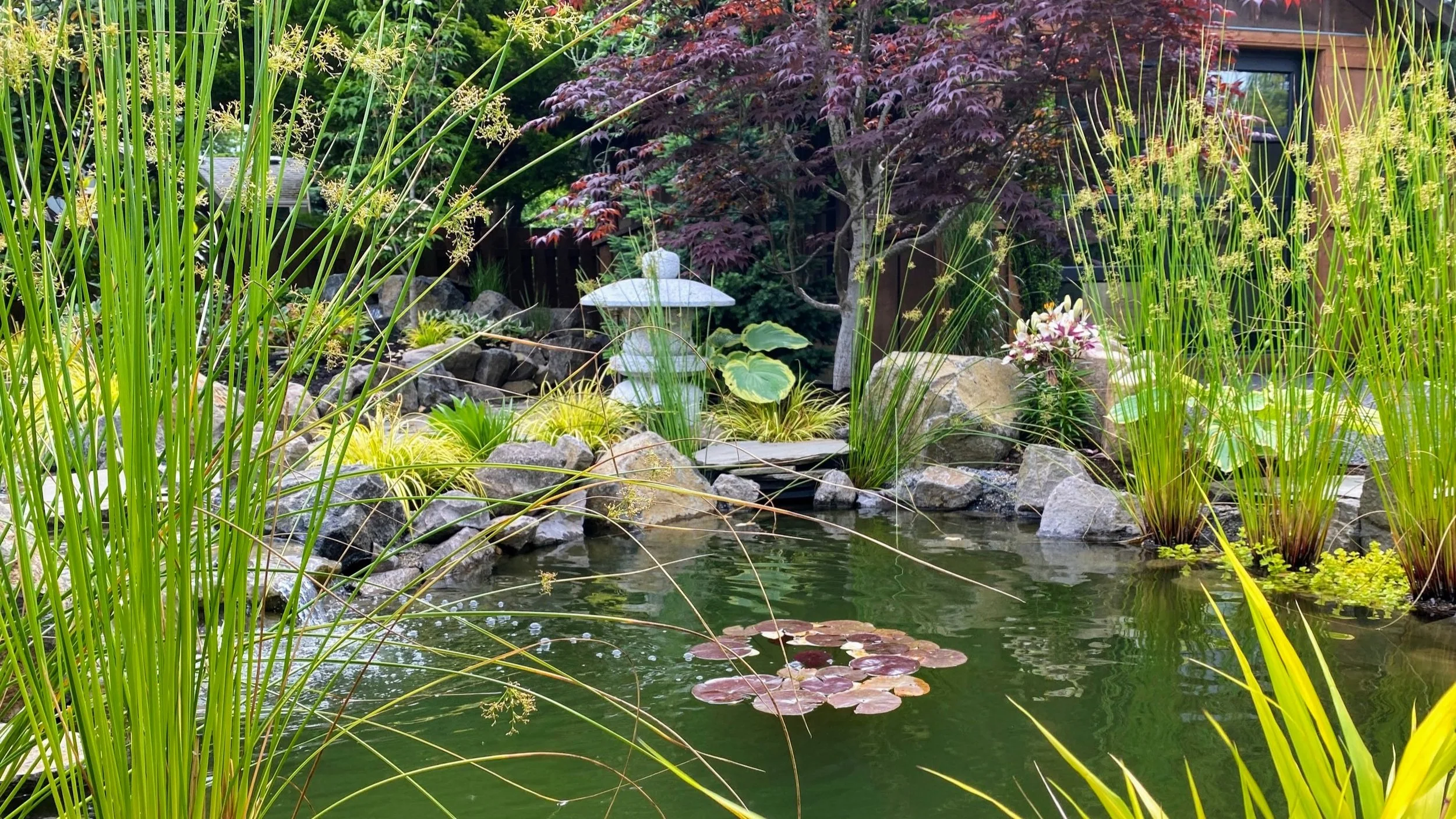 Portland Water Features Built The Right Way - Koi Ponds in Lake Oswego ...