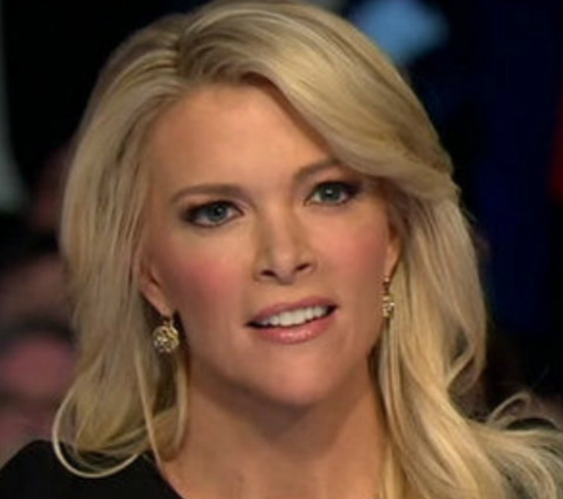 Megyn Kelly Goes on Vacation, Internet Freaks — FTVLive