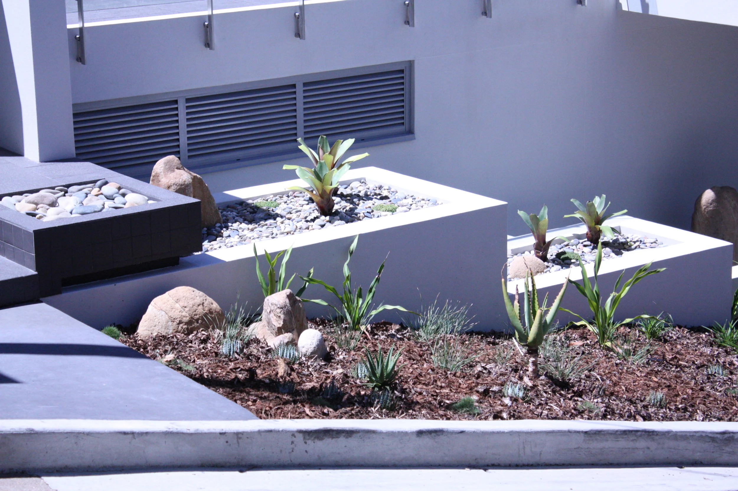 hamilton — SEED Landscape Design