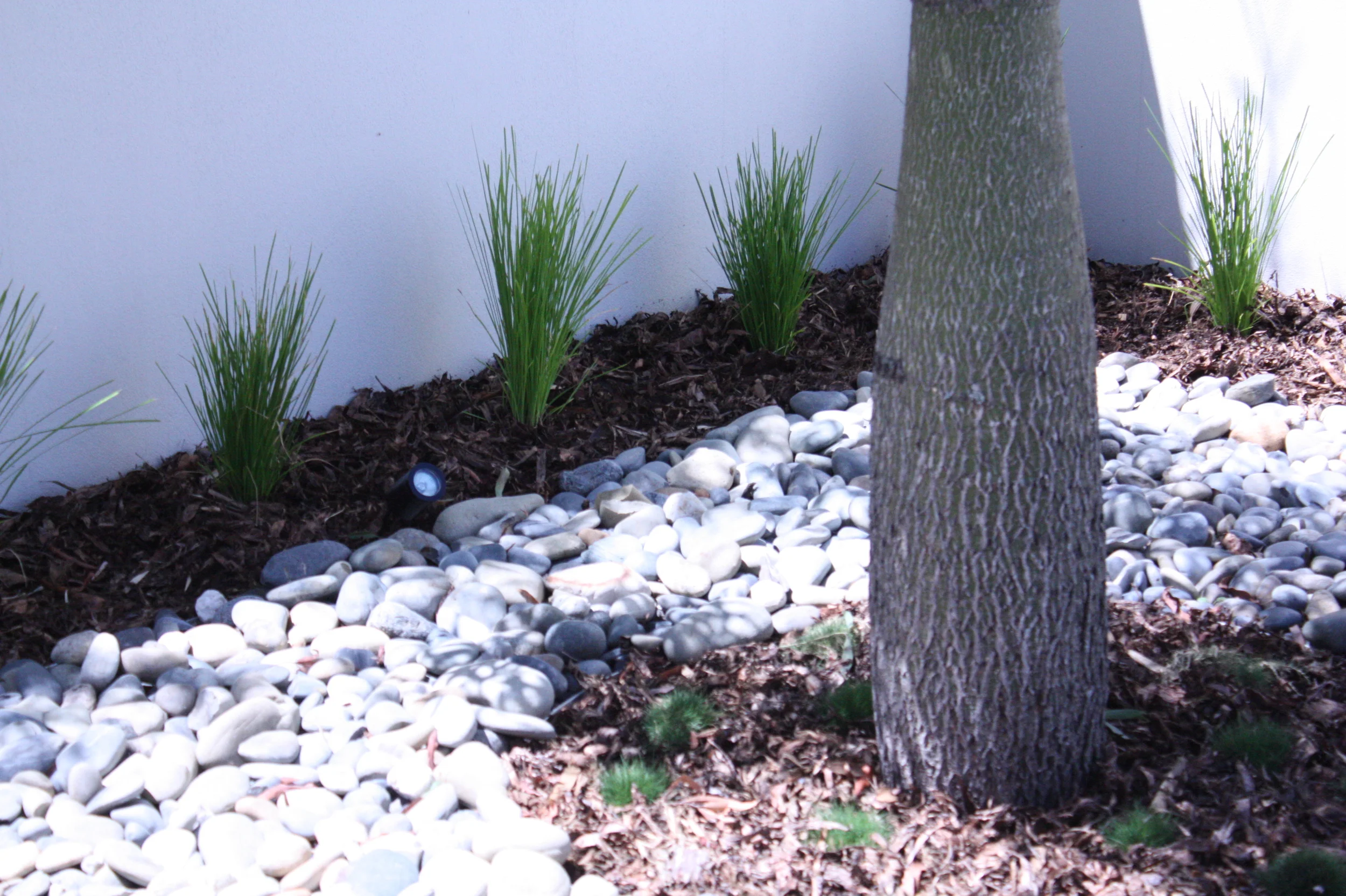 hamilton — SEED Landscape Design