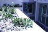 Planting ideas for shallow soil — SEED Landscape Design