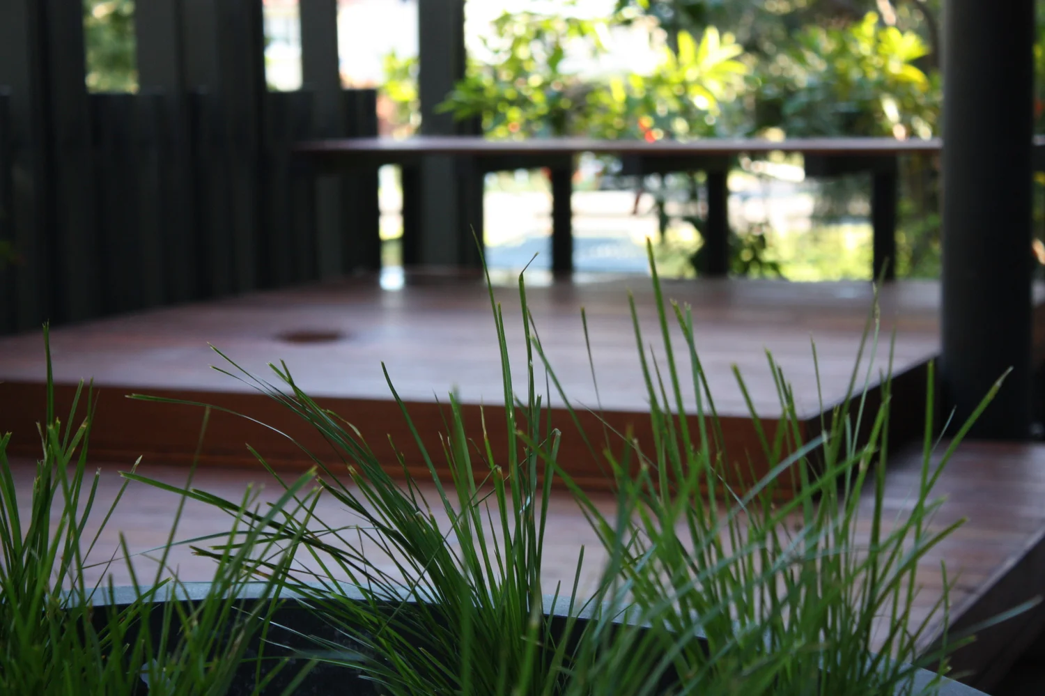 bardon — SEED Landscape Design