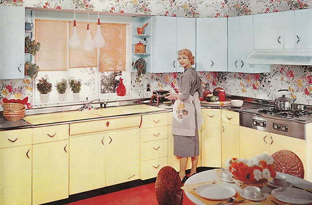 Our 50s Kitchen Renovation - Ideas and Inspiration — Natalie Curtiss ...