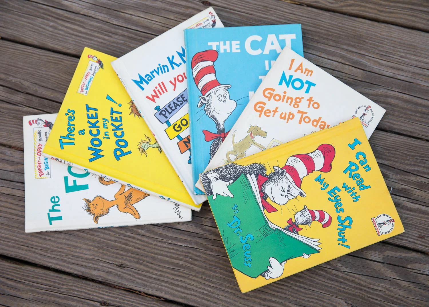 Interview with Kelly Partner, Founder of Early Literacy Nonprofit First ...