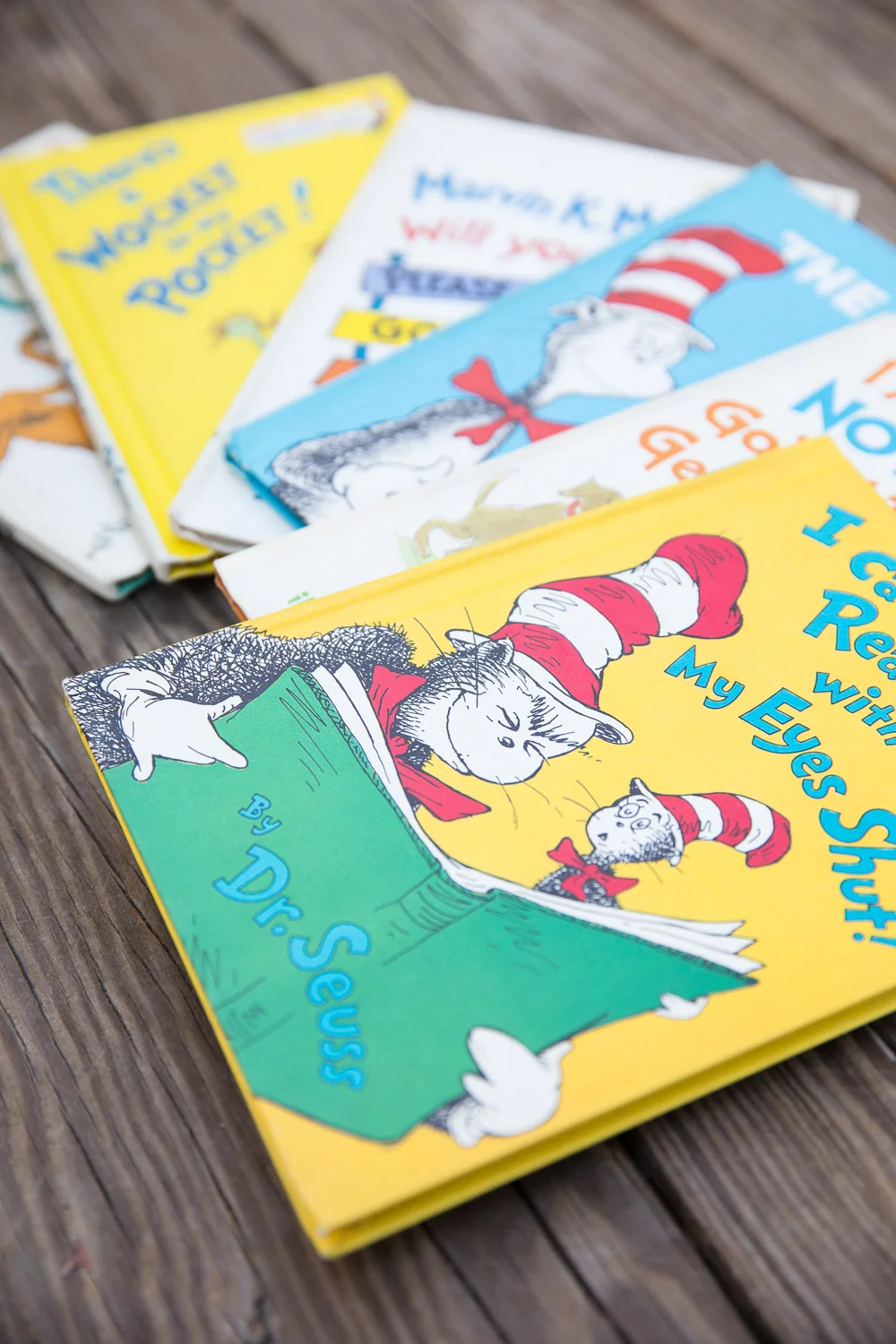 Interview with Kelly Partner, Founder of Early Literacy Nonprofit First ...