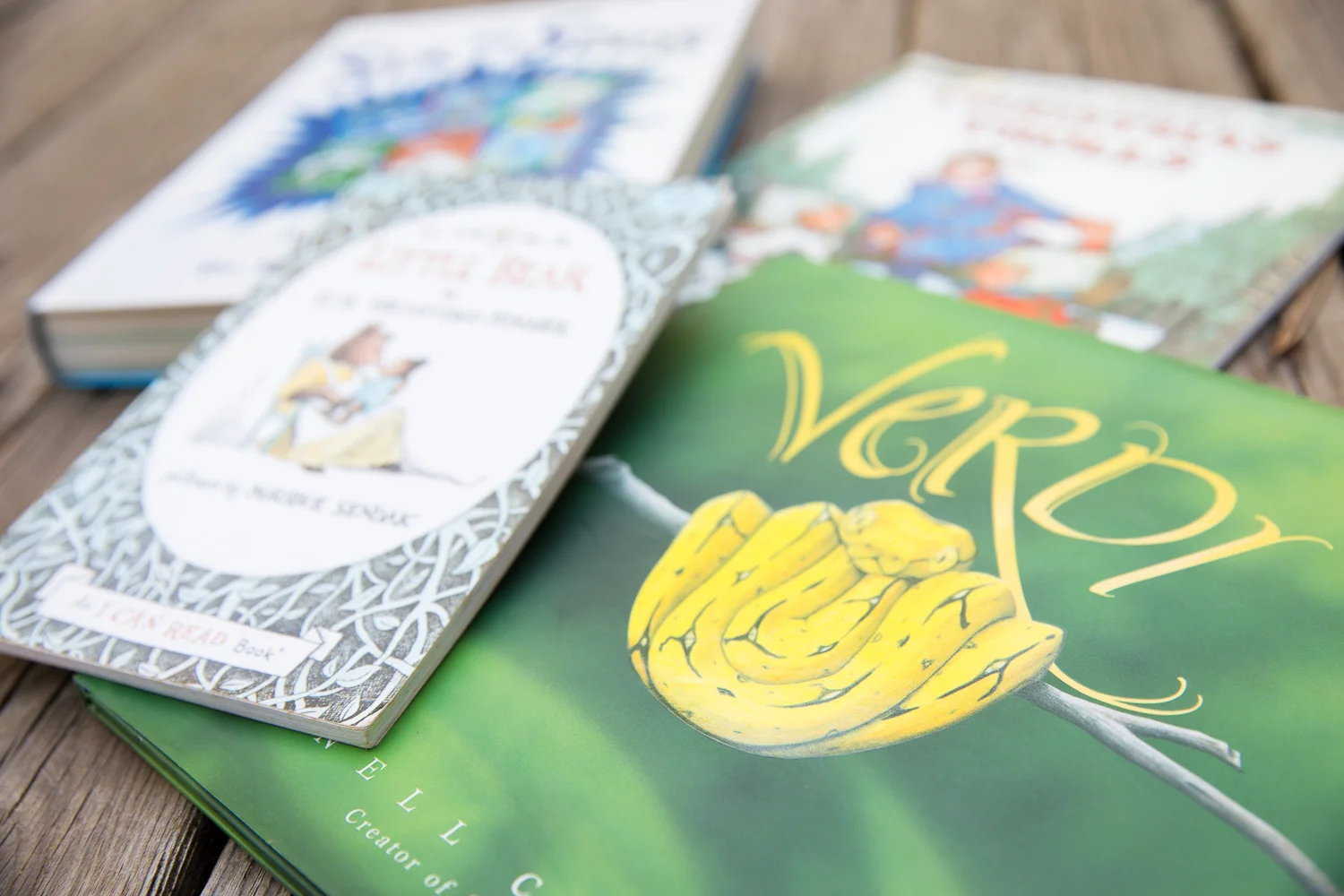 Interview with Kelly Partner, Founder of Early Literacy Nonprofit First ...