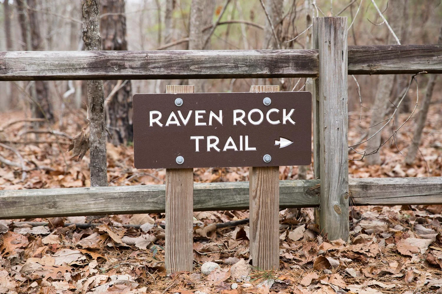 Sunday Stroll - Raven Rock — The Restless Wild