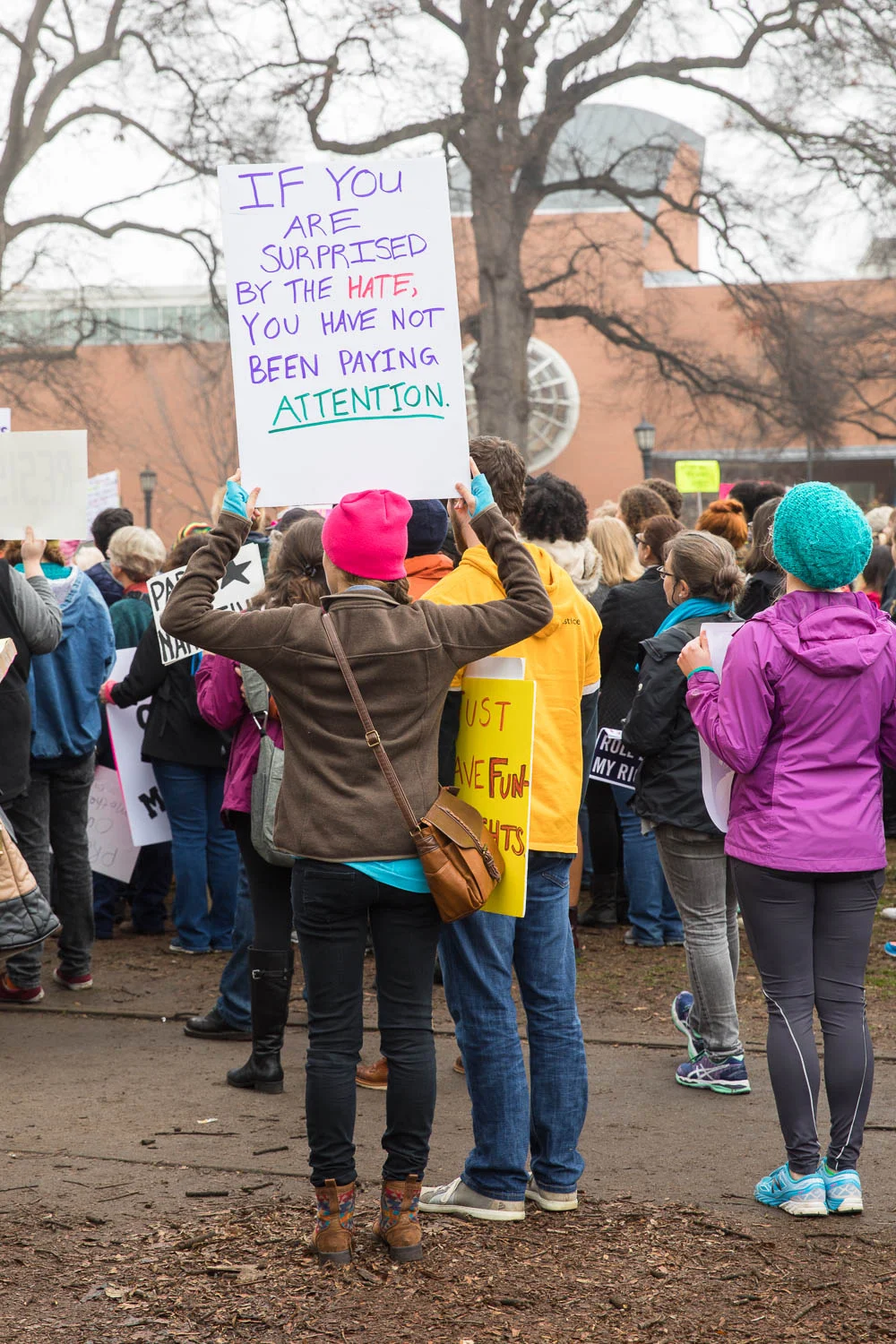 The March — The Restless Wild