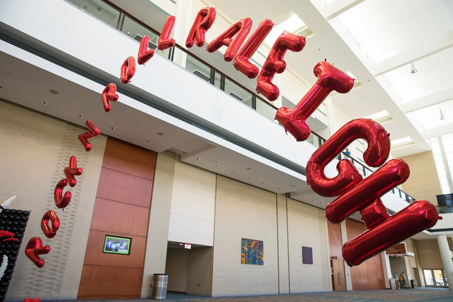 Rock 'n' Roll Raleigh Race Report — The Restless Wild