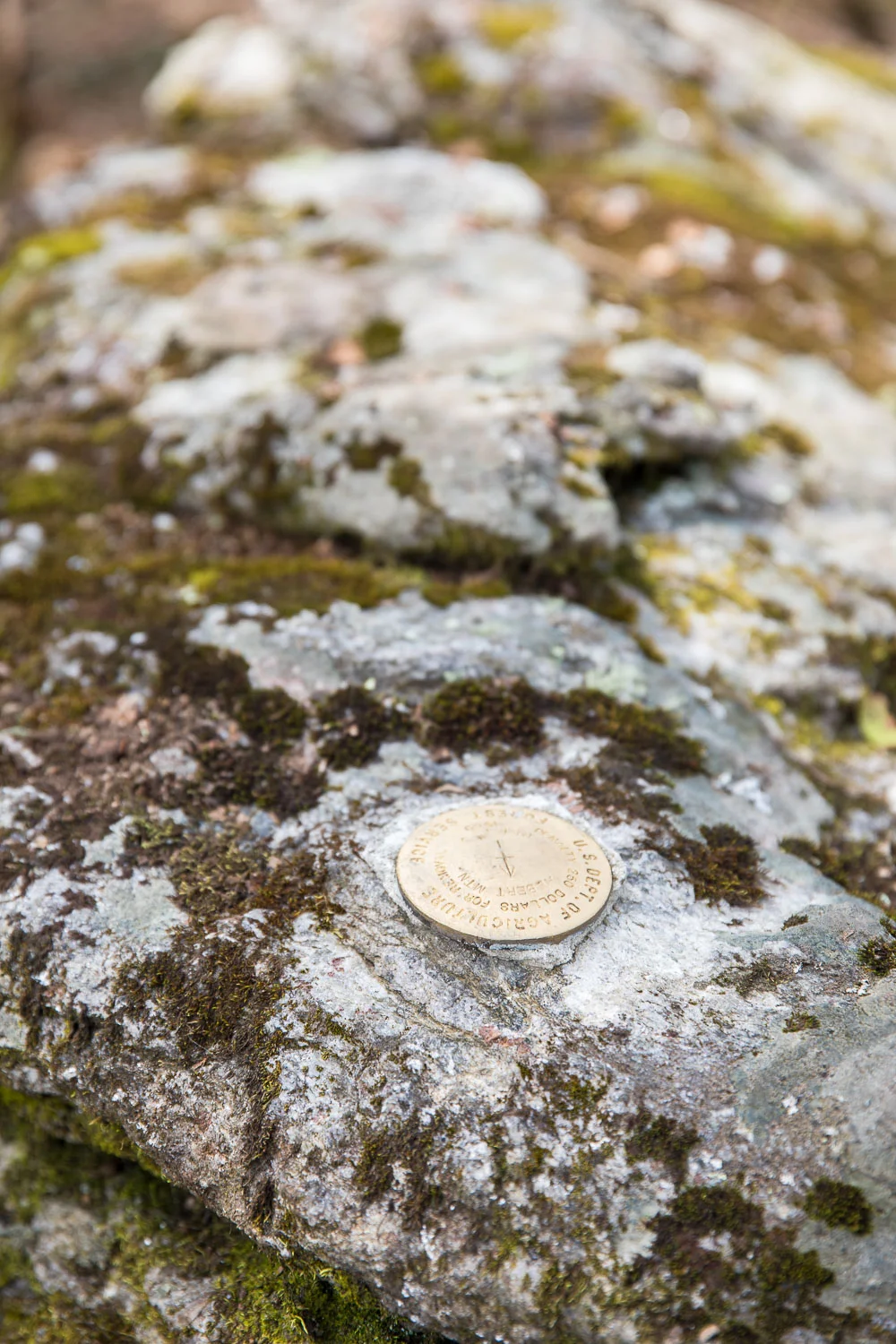 The Lightning Storm and the Stone: Standing Indian Loop on the ...
