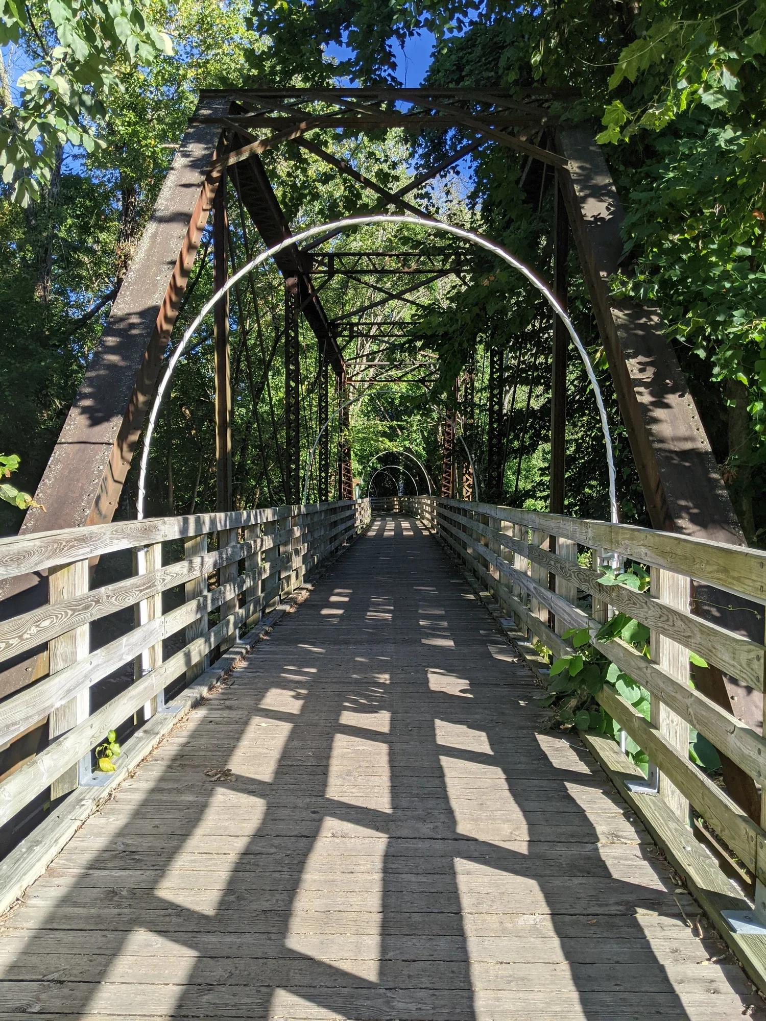 Yeti 100 Mile Endurance Run -- 2021 Race Report! — The Restless Wild