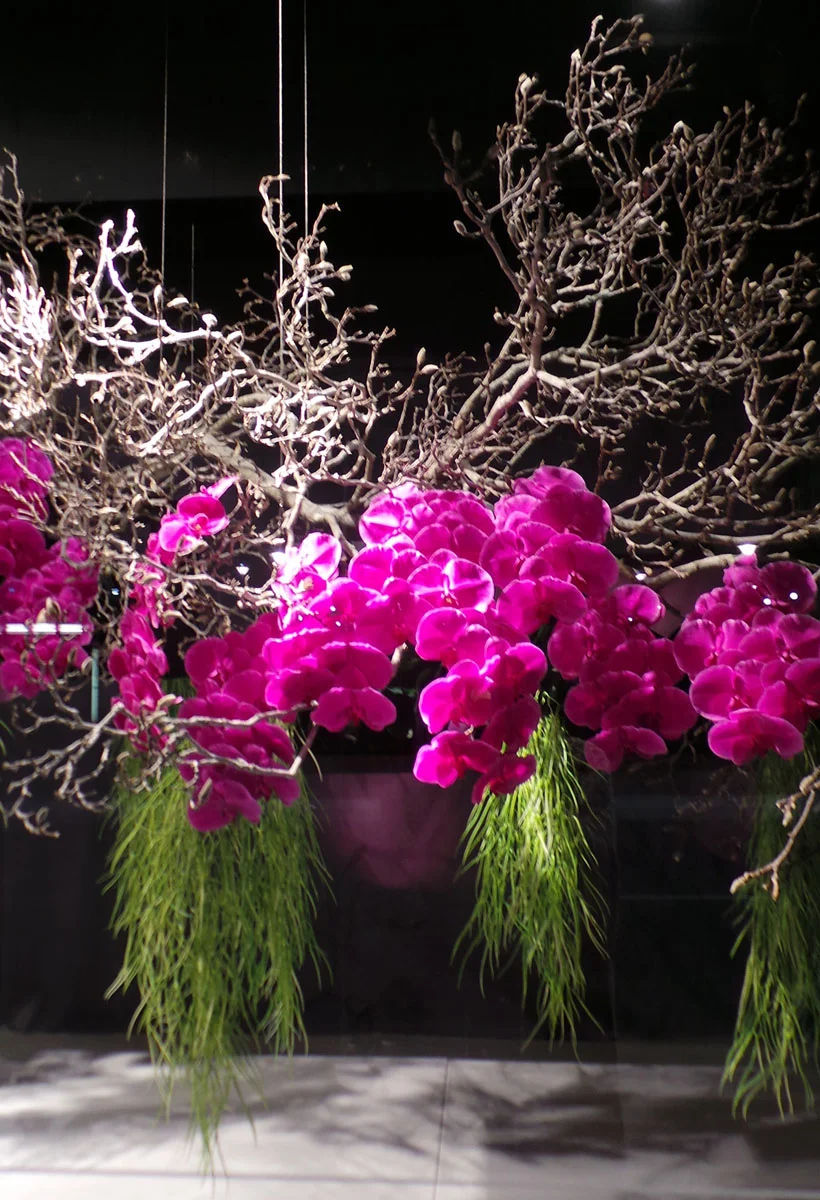 Spring Inspiration - DJs Flower Show — Elk Prints