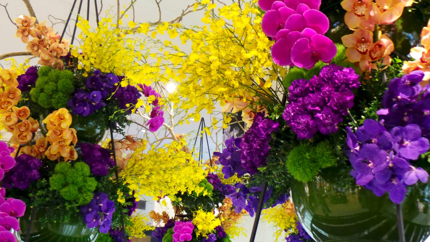 Spring Inspiration - DJs Flower Show — Elk Prints