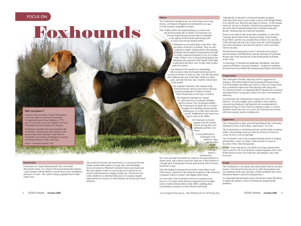 American Coonhound Magazine