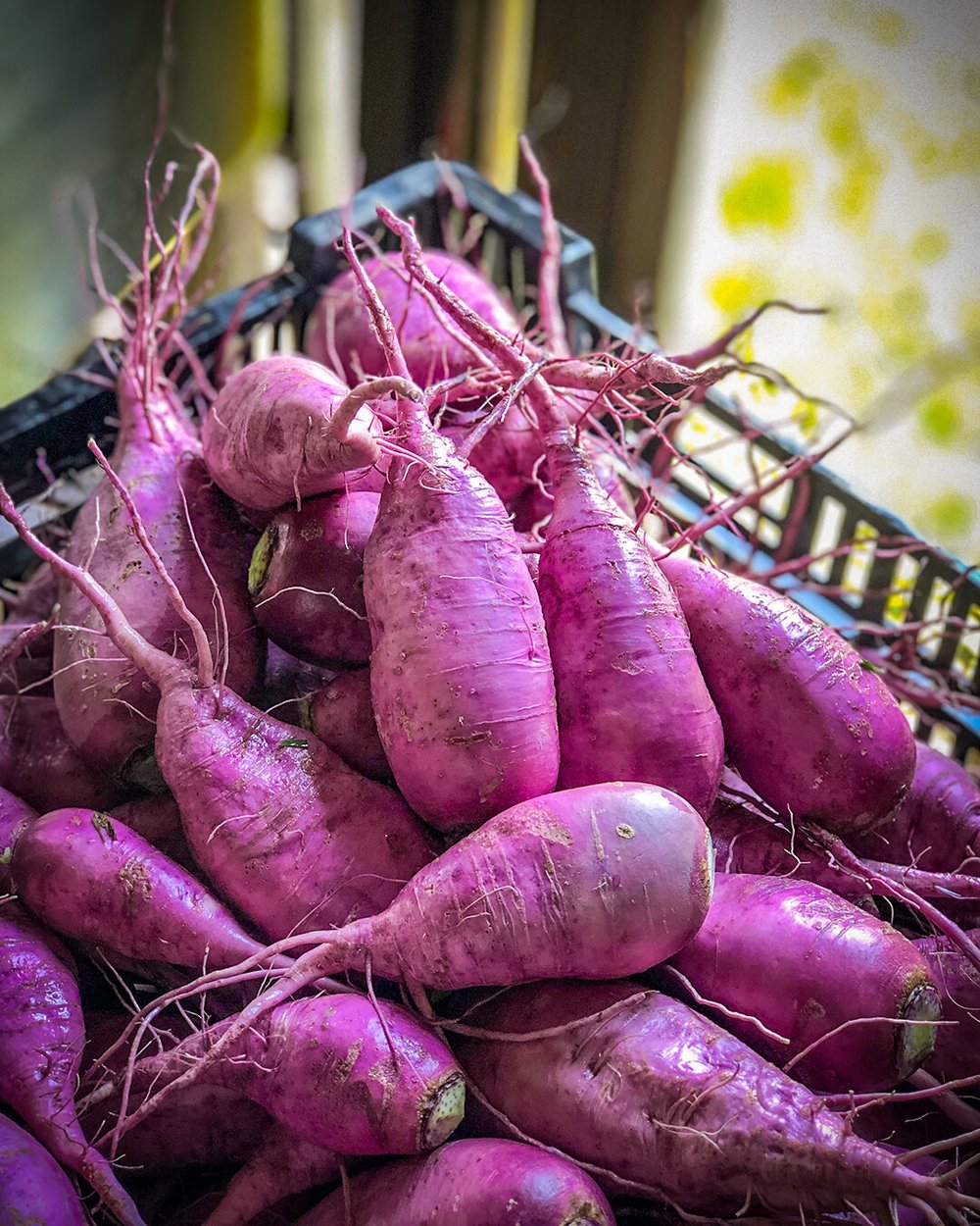 Epiphany Farms Restaurant — Epiphany Farms Hospitality Group