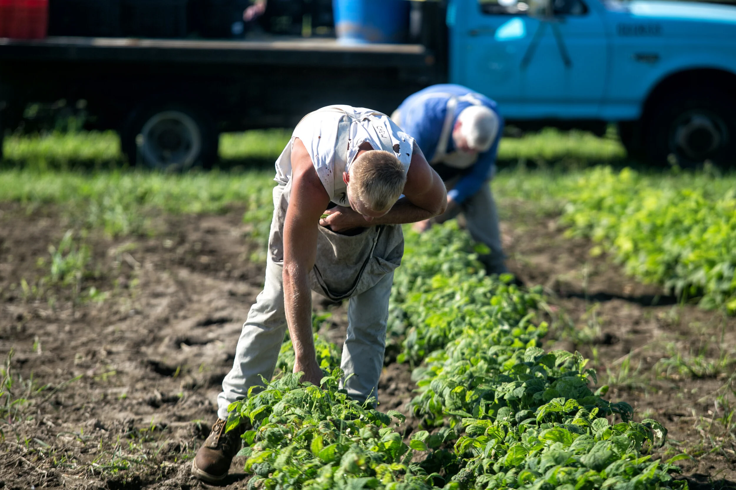 Epiphany Farms Hospitality Group