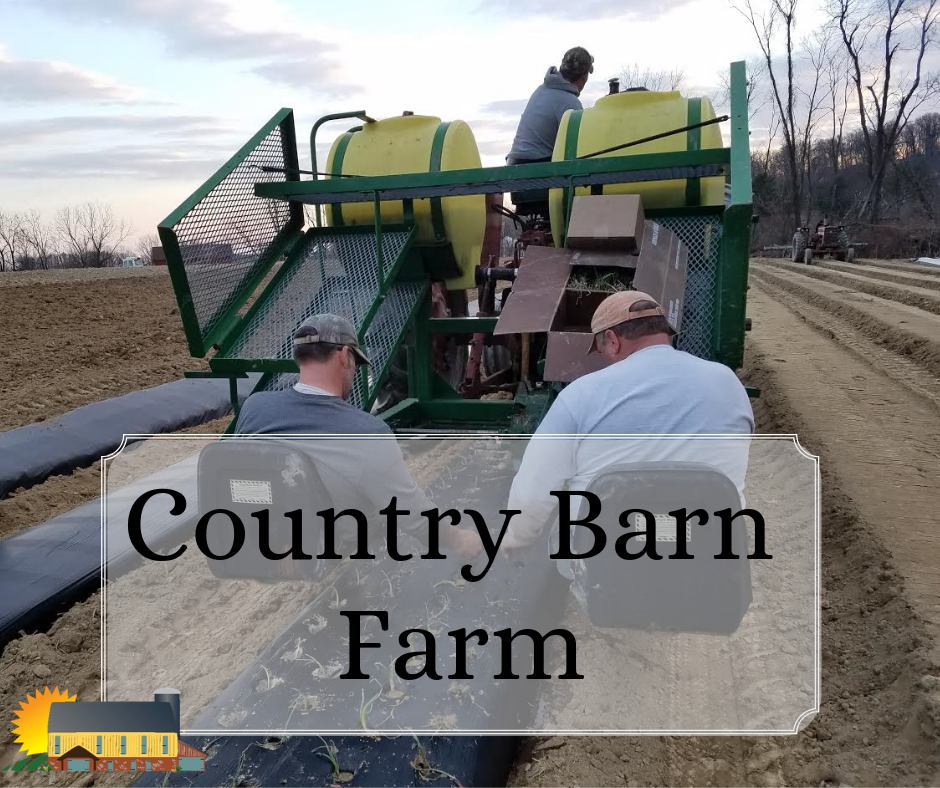 Country Barn