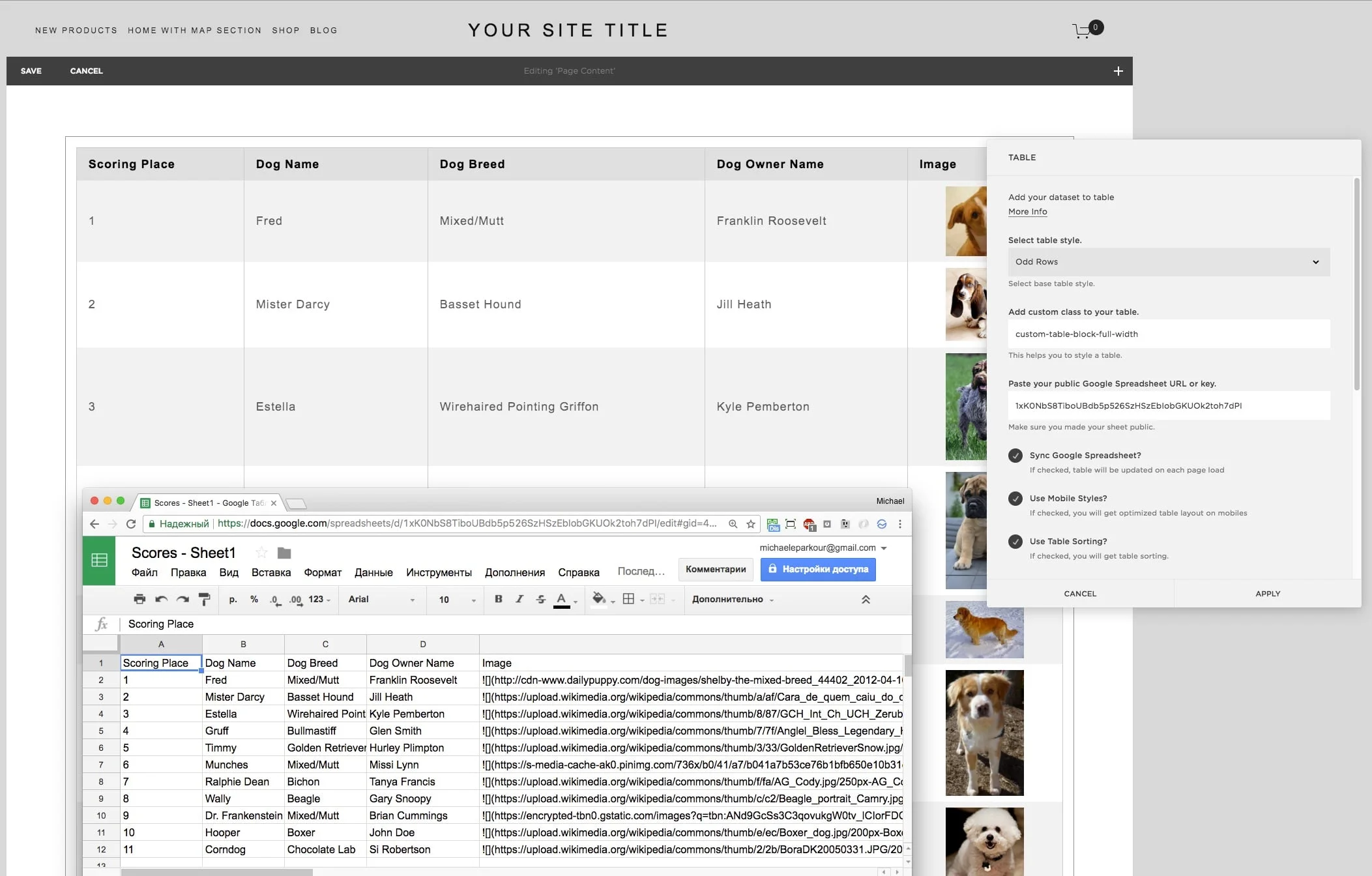 Best Squarespace Plugins Store