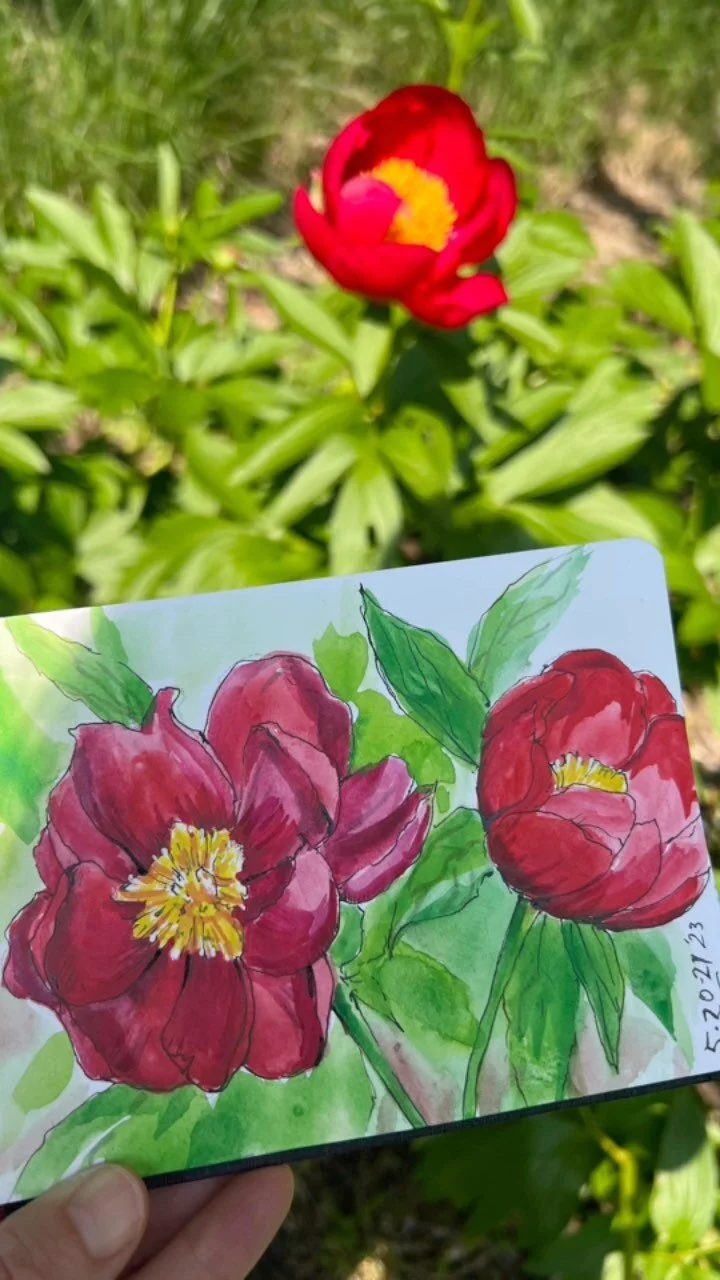 Illustration — SDB