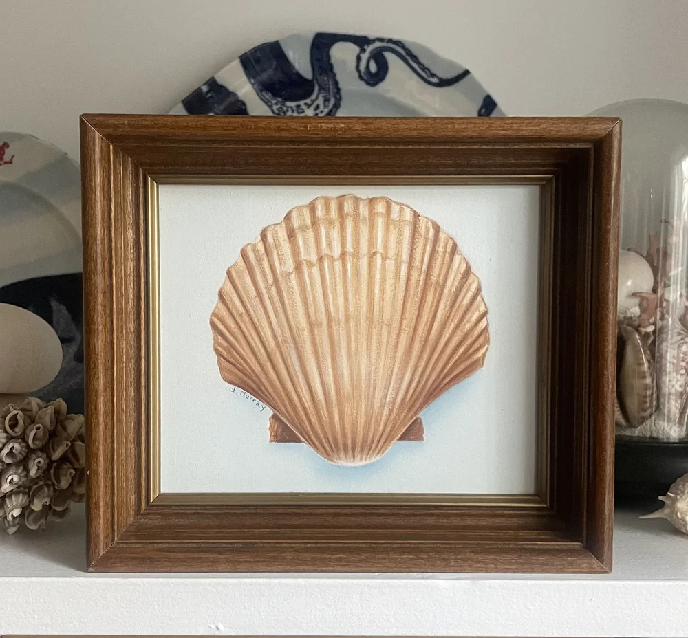 Scallop Shell Painting