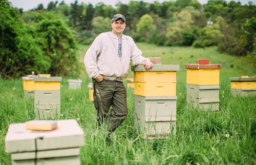 Meadow Sweet Apiaries