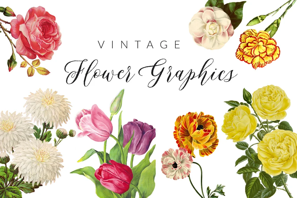 Antique Floral Illustrations