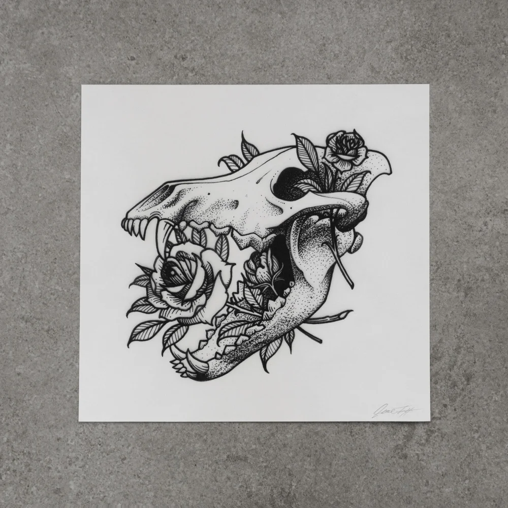 Wolf Skull Drawing