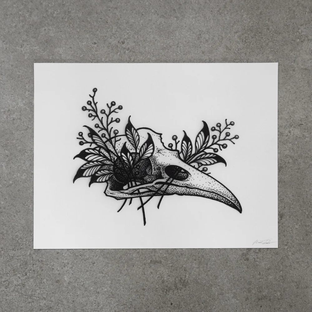 Crow Skull Art