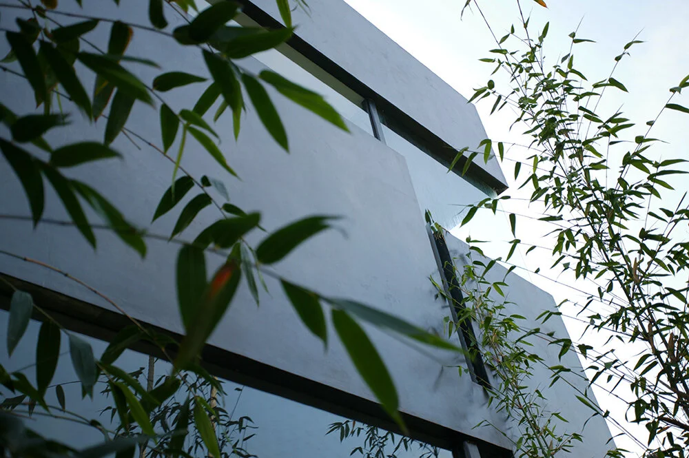 David Hertz Architects FAIA & The Studio of Environmental Architecture