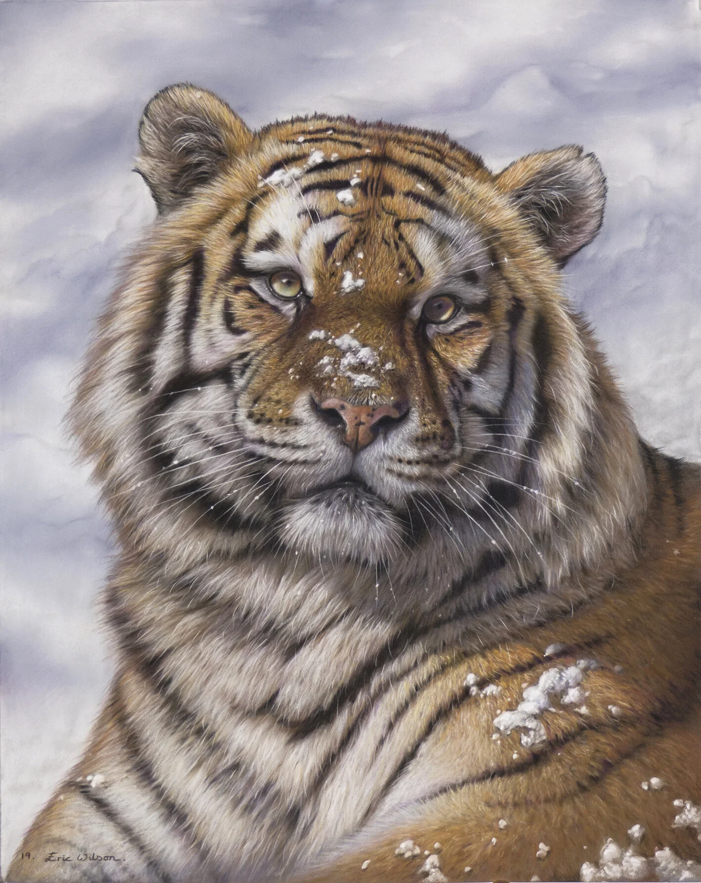 Eric Wilson Fine Art-Tiger paintings. Original fine art tiger artwork ...