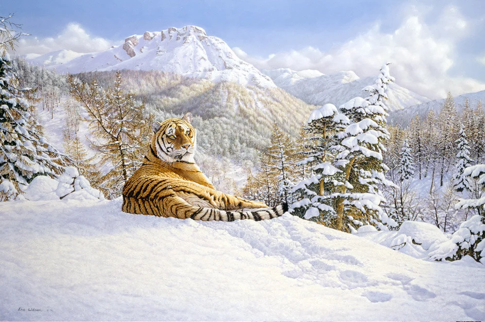 Eric Wilson Fine Art-Tiger paintings. Original fine art tiger artwork ...