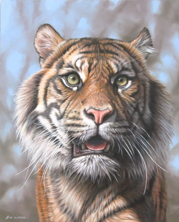 Eric Wilson Fine Art-Tiger paintings. Original fine art tiger artwork ...