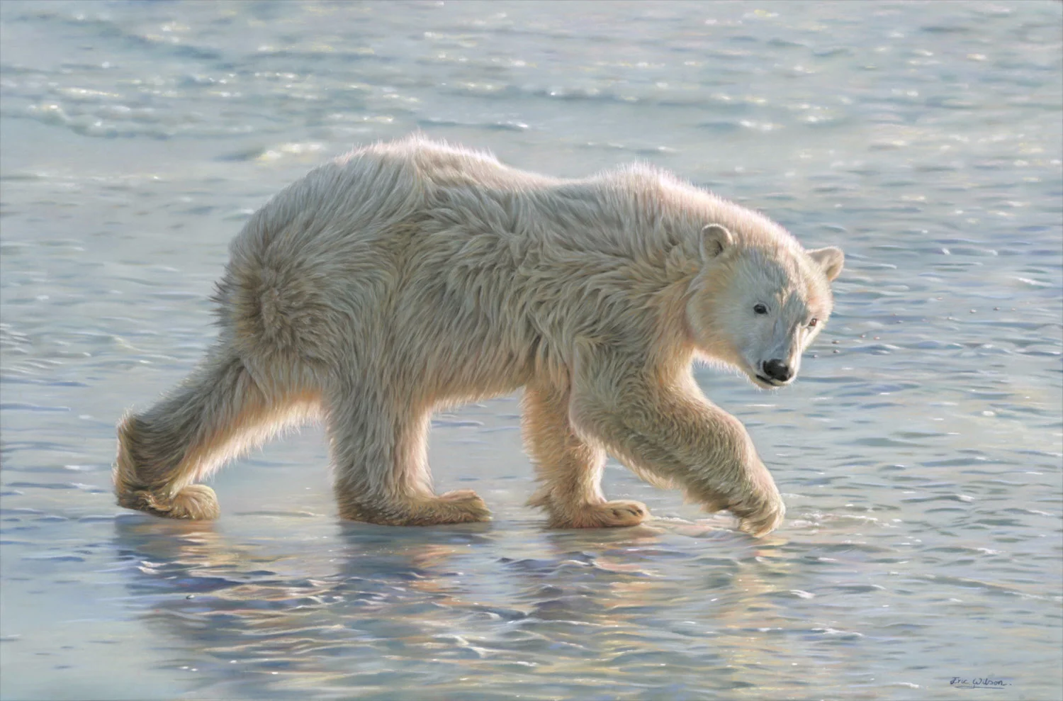 Eric Wilson Fine Art-Polar Bear Painting. Polar Bear Paintings in ...