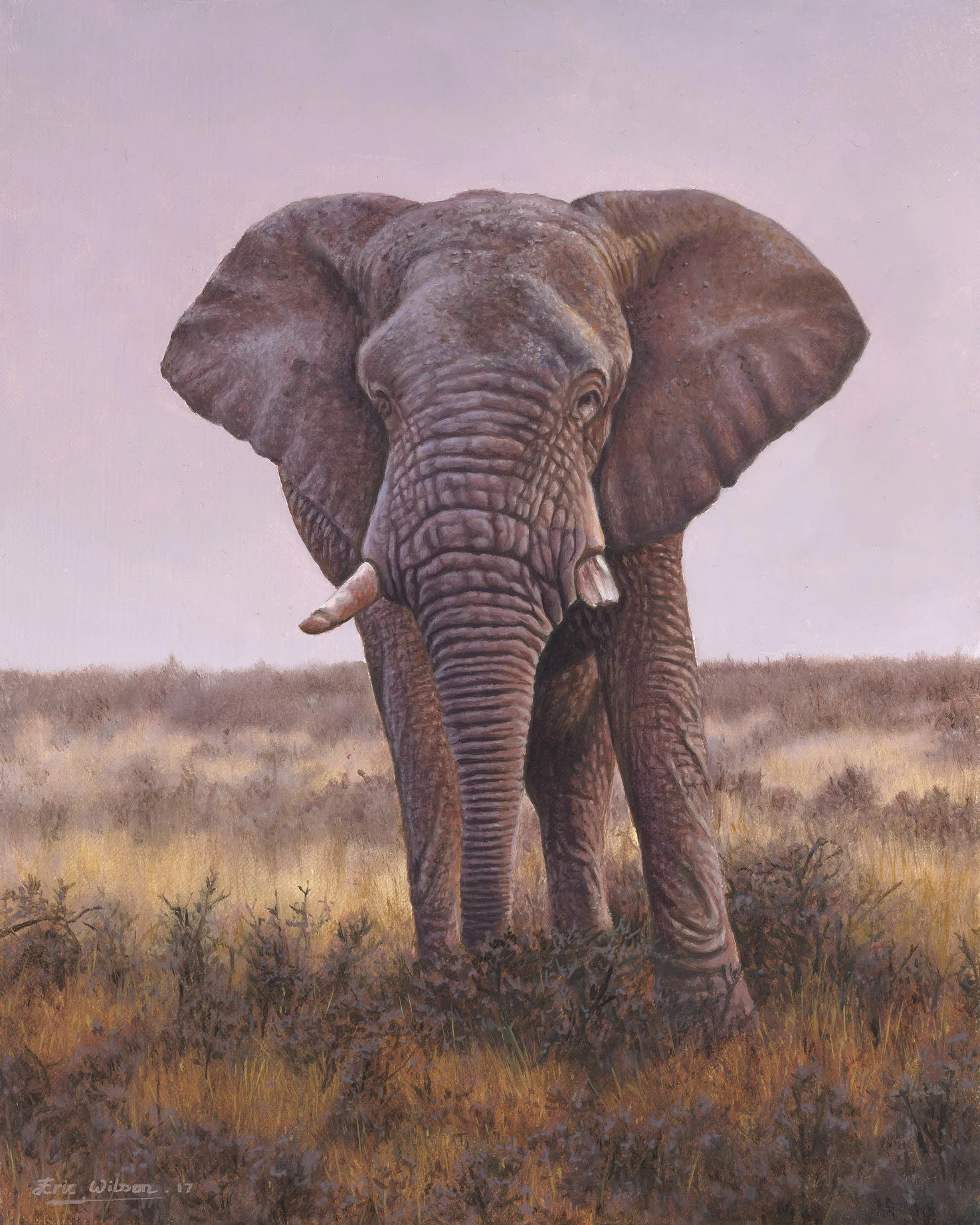 Namibian Elephant - Fine Art Print — Eric Wilson Fine Art