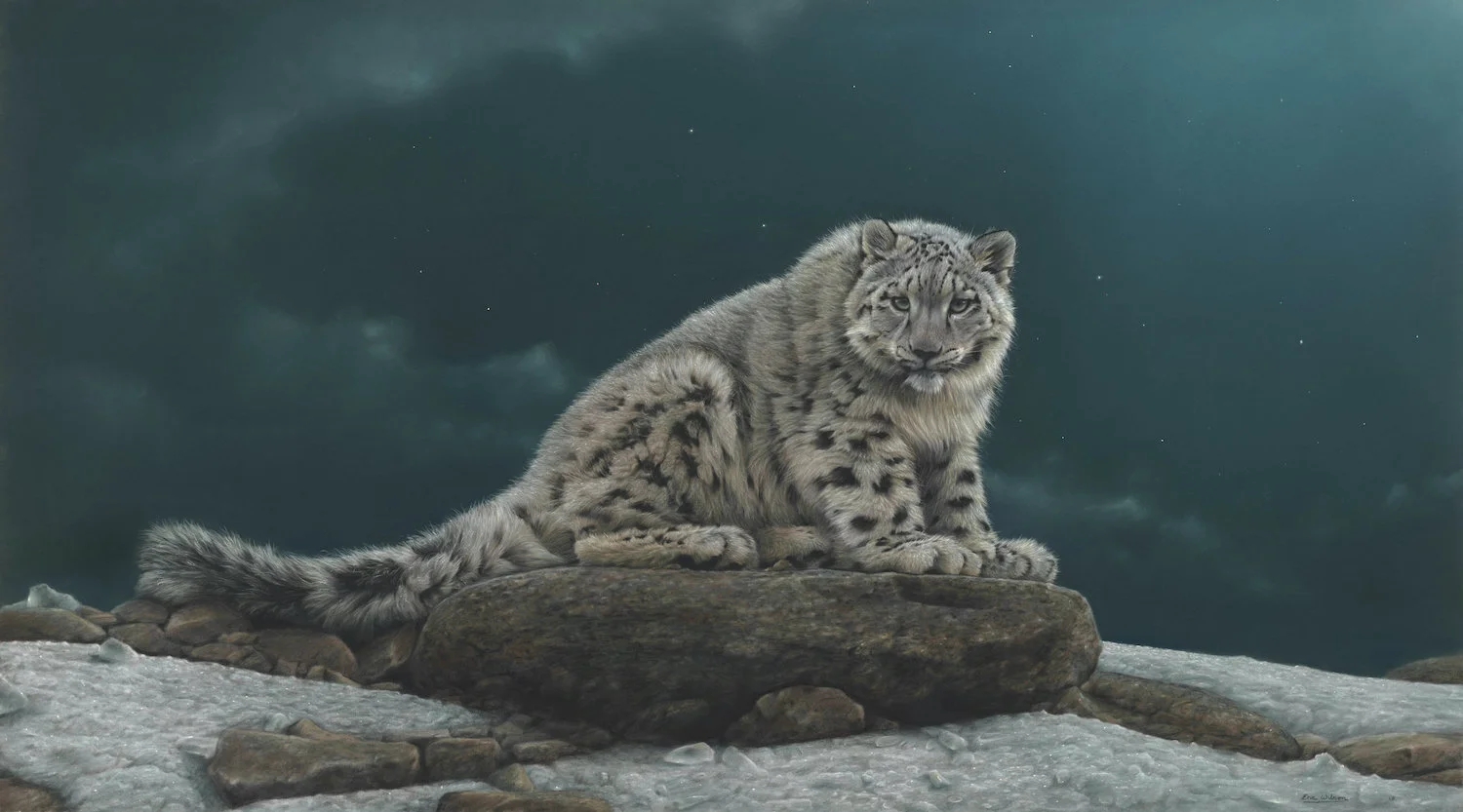Ghost - Snow Leopard - Fine Art Print — Eric Wilson Fine Art