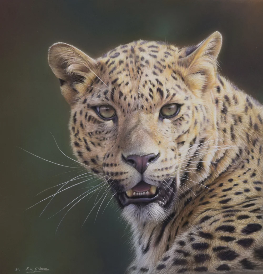 Leopard Painting
