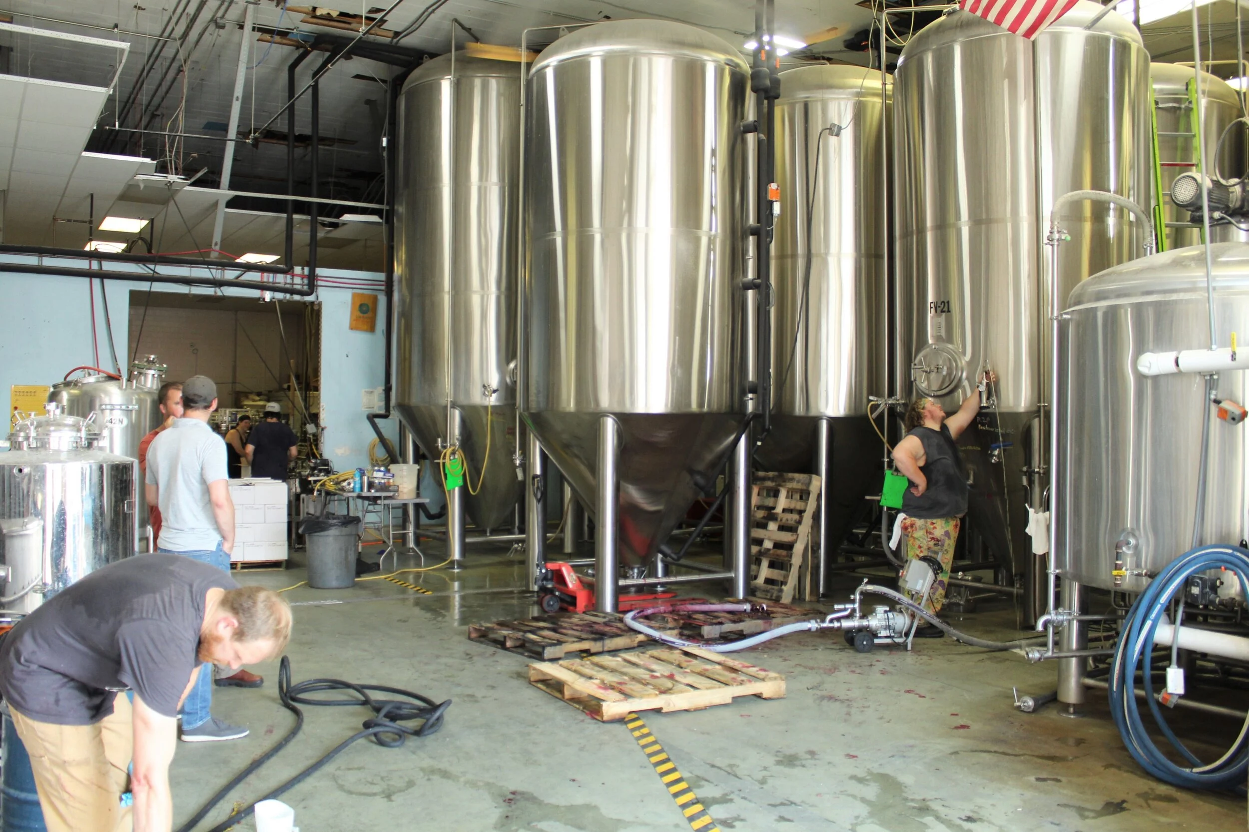 An Ever-Evolving Organism — Urban Artifact in Cincinnati, Ohio — Good ...