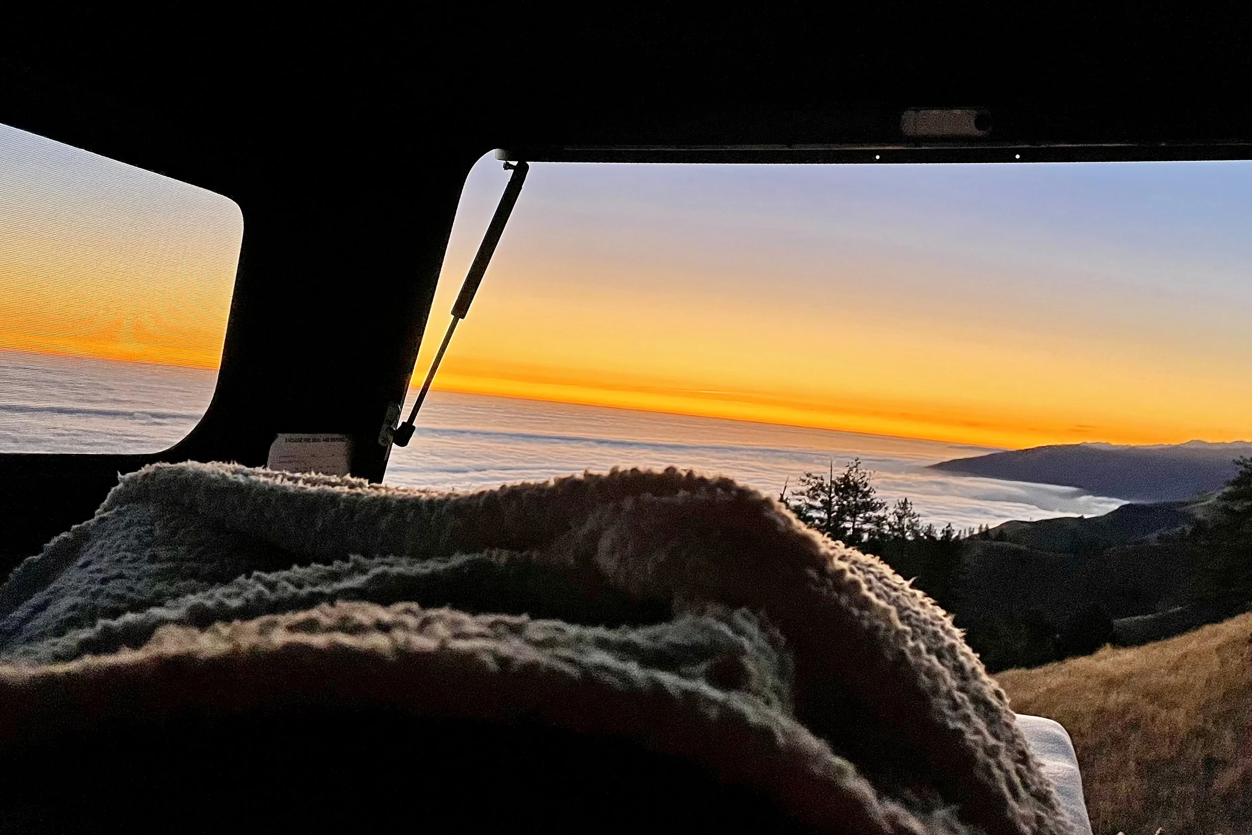 no. 664 — Good Beer Hunting