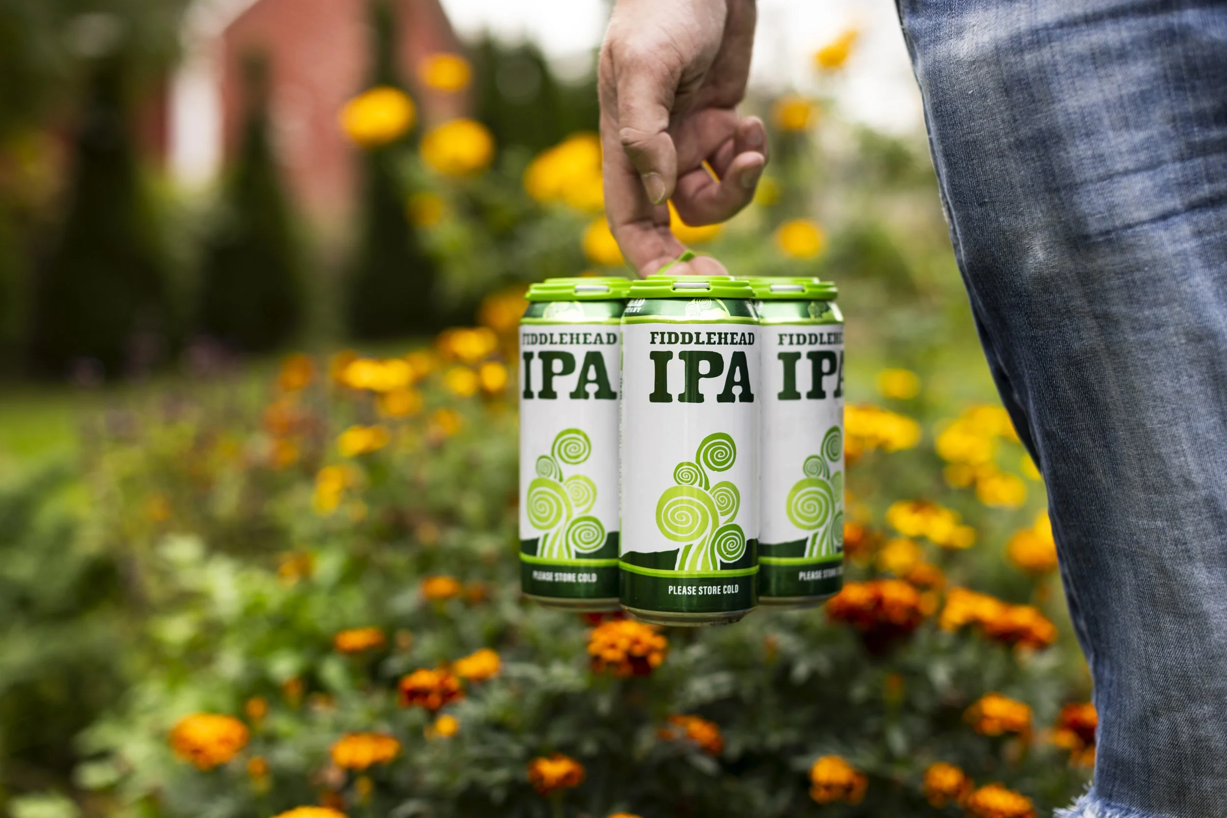 The Bestselling IPA No One Talks About — How Fiddlehead IPA Built A ...