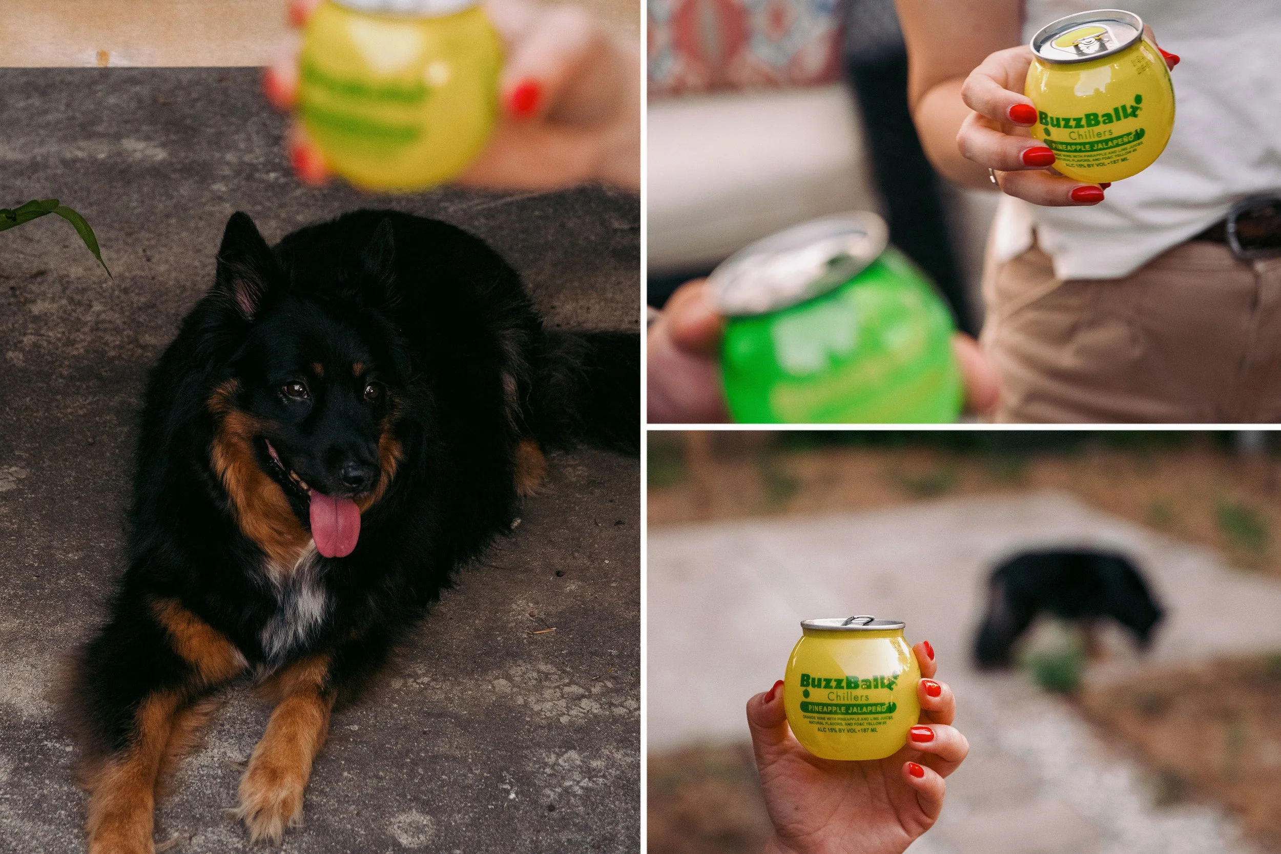 This Is Your Brain on a Lime ‘Rita Chiller — How BuzzBallz Won the ...