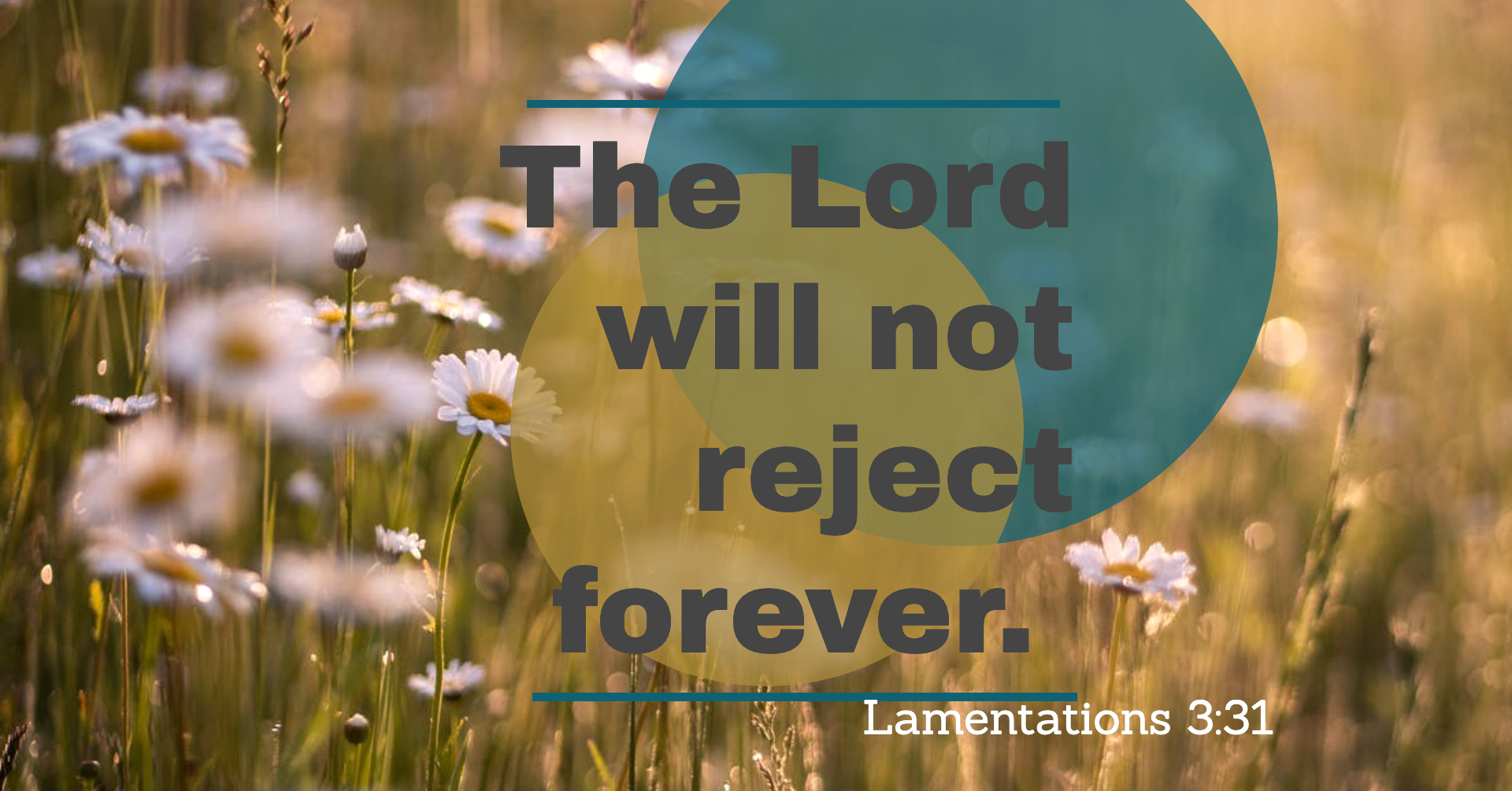 He Will Not Reject Forever — Scripture Paths