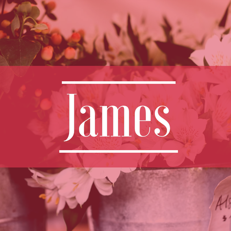 James — Scripture Paths