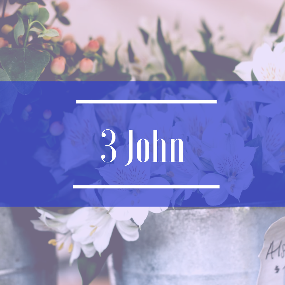 3 John — Scripture Paths
