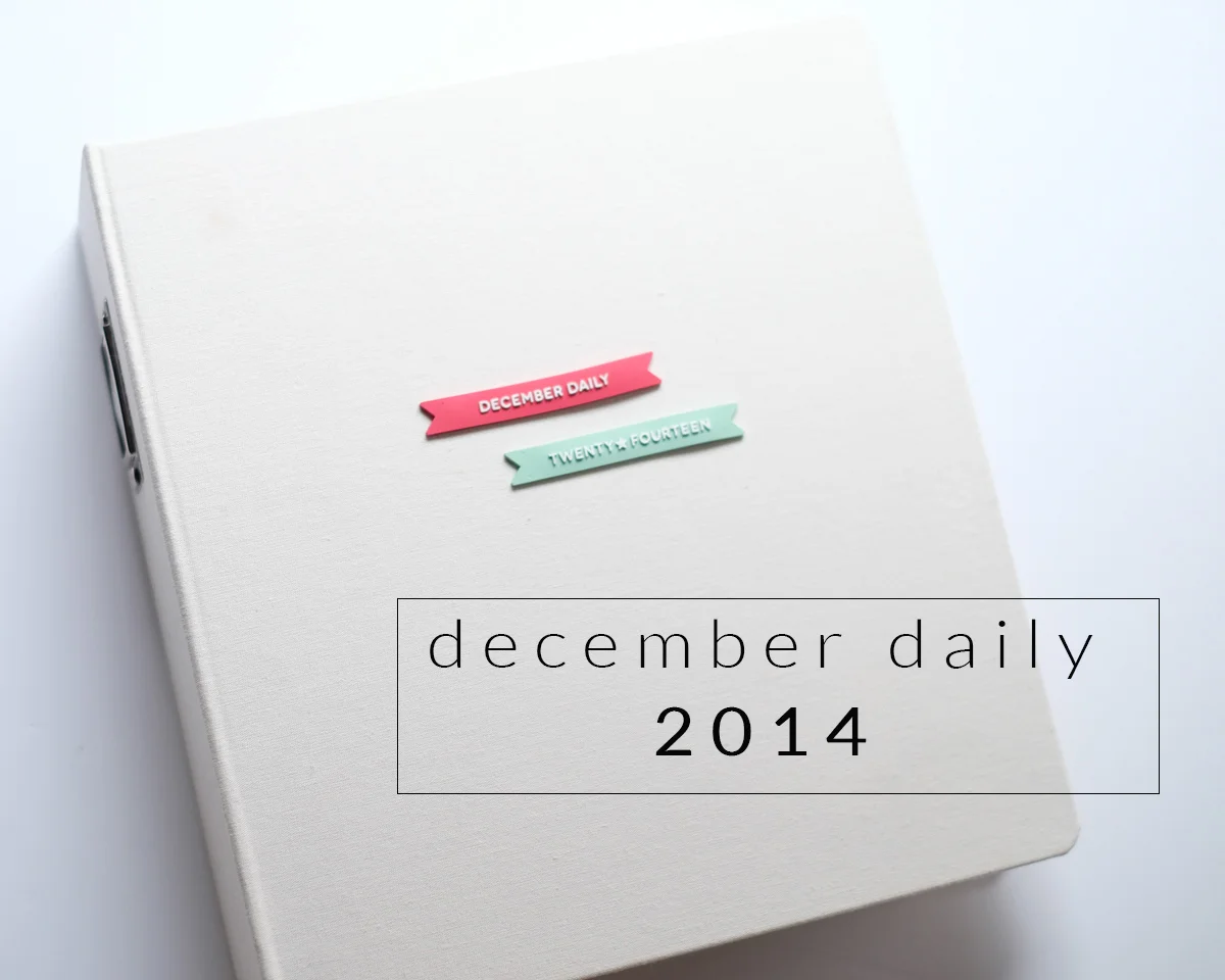 A Look Back | December Daily 2014