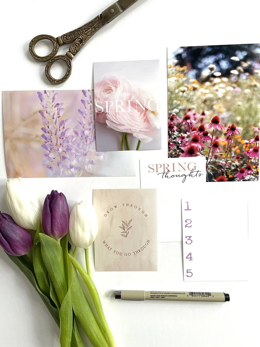 Patreon March Printables